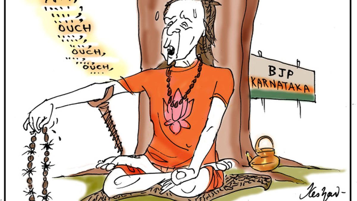 Cartoonscape, January 29, 2013 - The Hindu