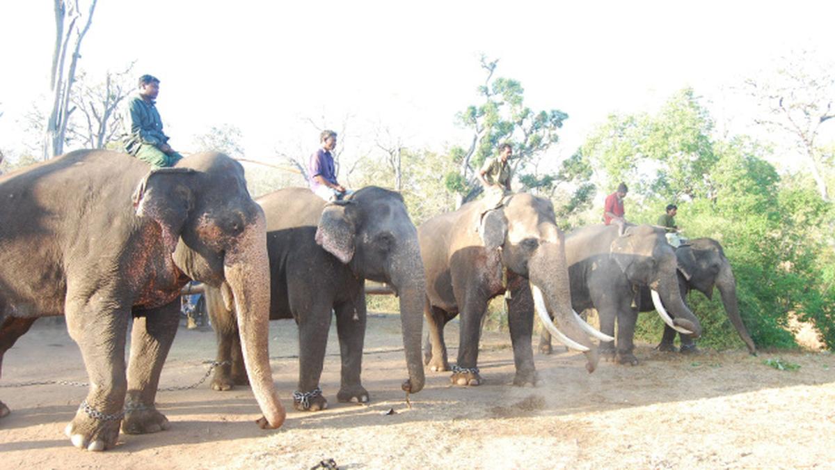 A requiem for Rathi - The Hindu