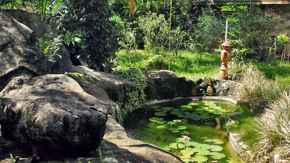 Points to ponder - The Hindu