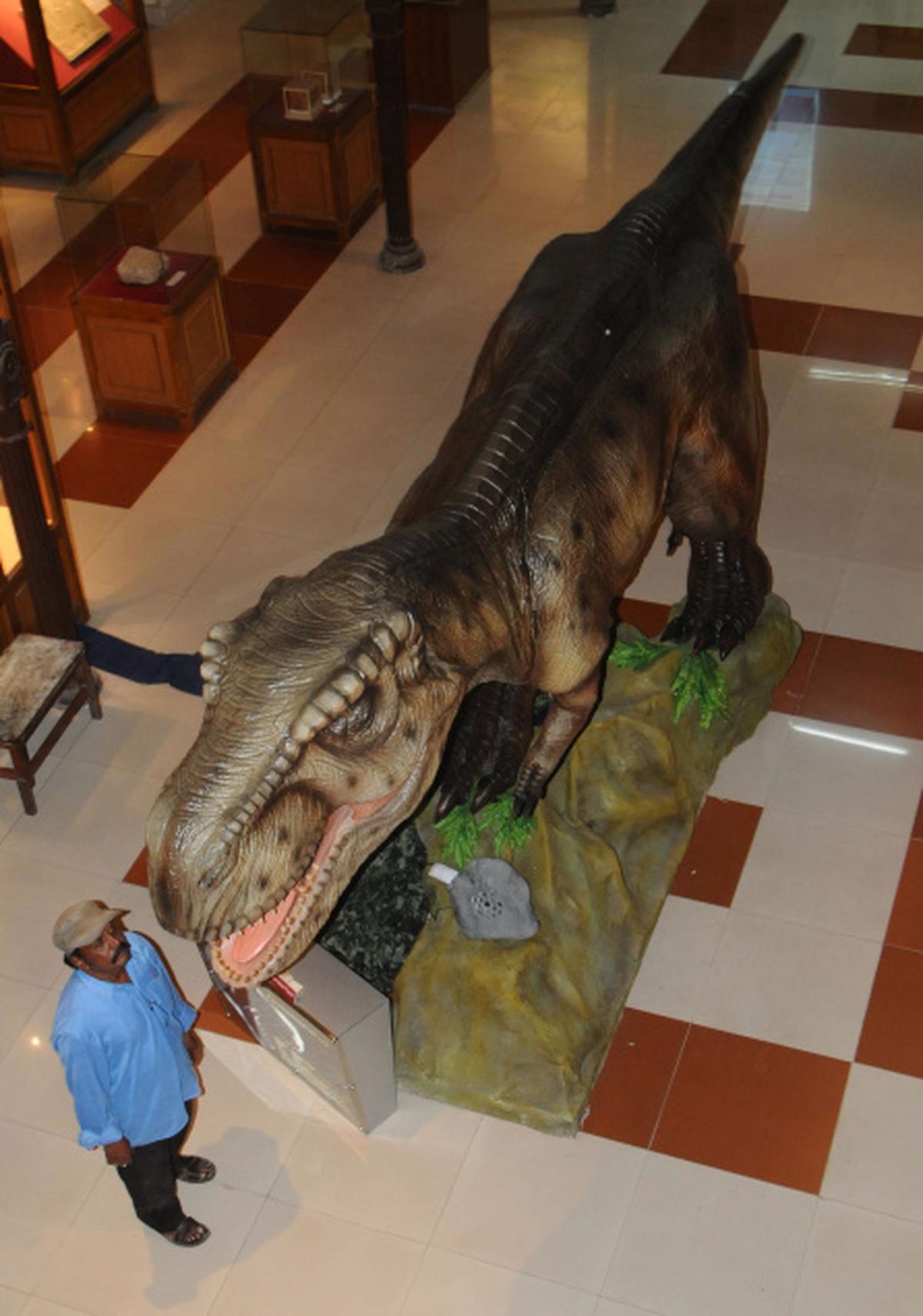 Dynamic dinosaur exhibit grabs eyeballs at museum - The Hindu