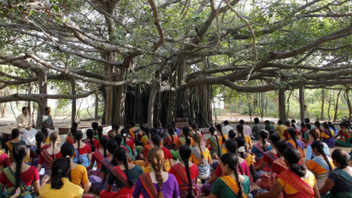 All steps lead to Kalakshetra - The Hindu