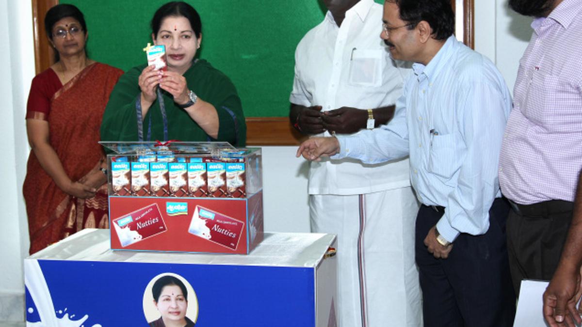 Now, Aavin diversifies into nutty chocolate bars - The Hindu