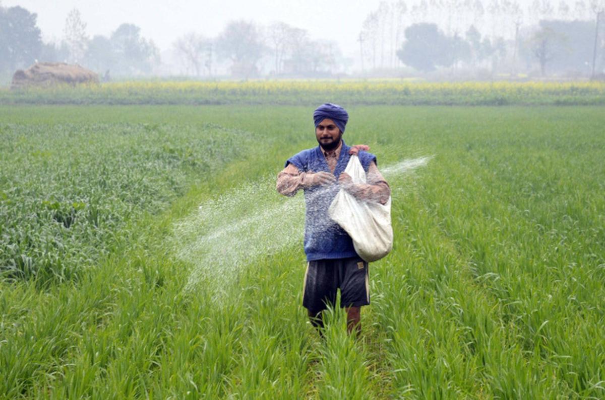 Signals decisive shift to high-value agriculture - The Hindu