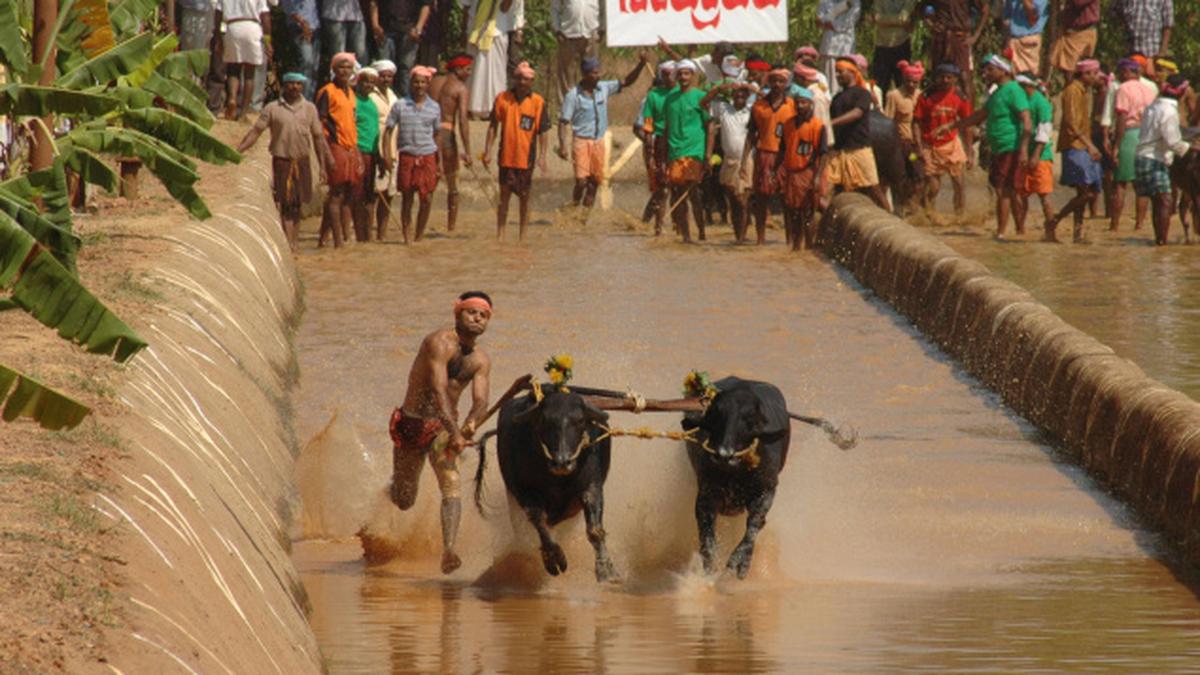 Colour and valour - The Hindu