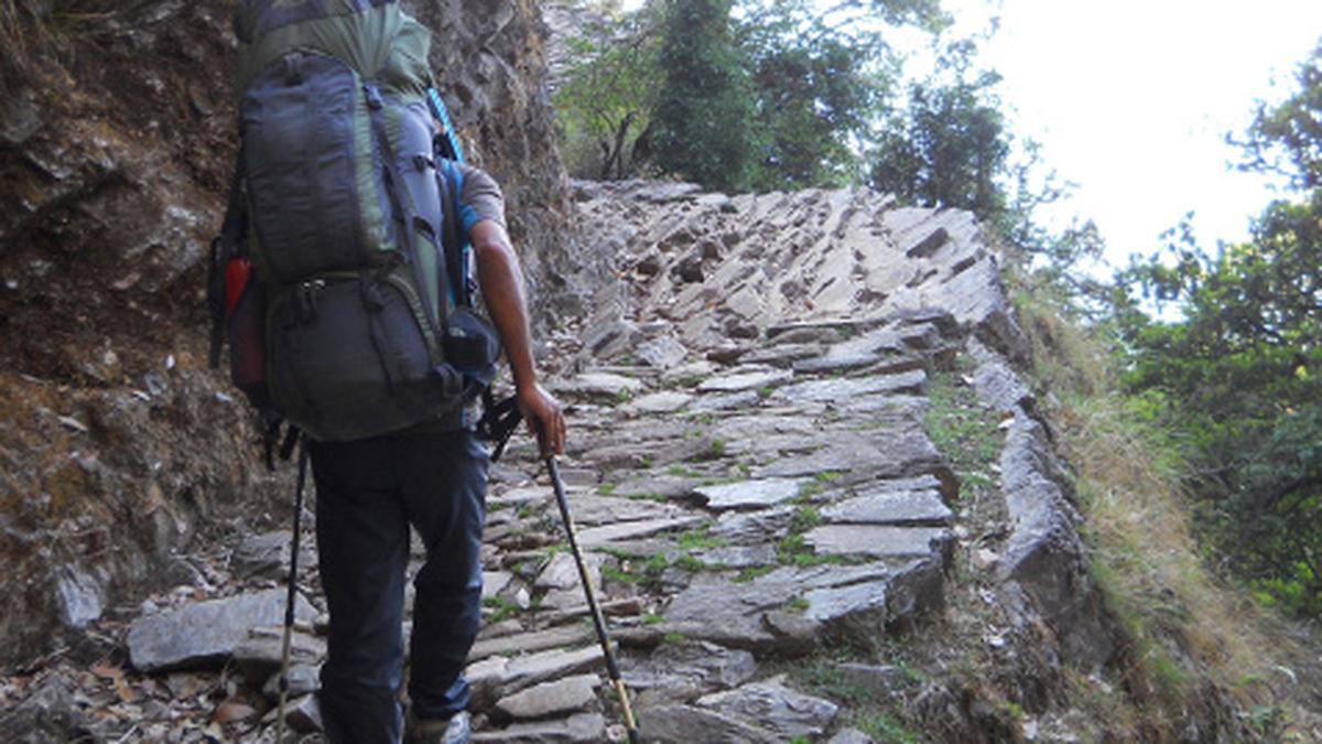 An engaging ‘traill’ - The Hindu