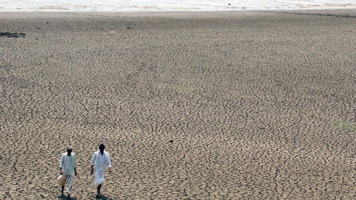 ‘Silt deposits in Godavari rising alarmingly’ - The Hindu