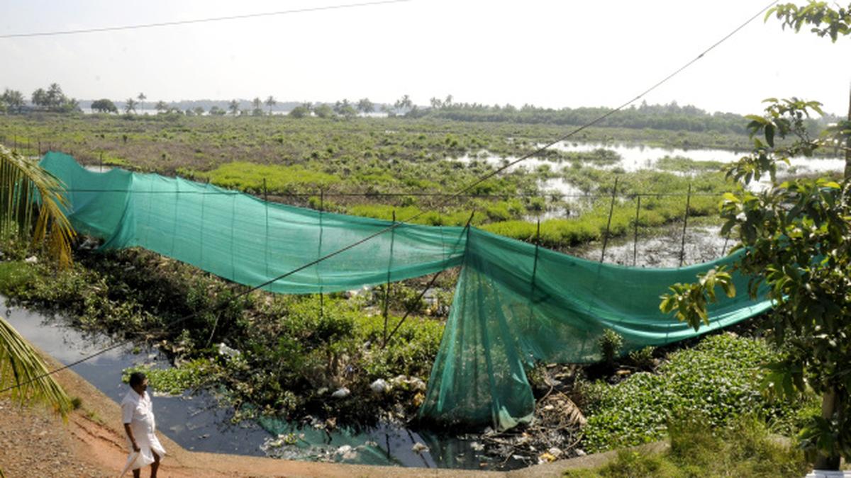 Vigilance registers case in Edakochi stadium scam - The Hindu