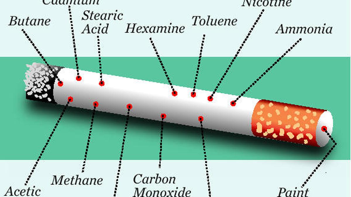 Contraband cigarettes find market in Kerala - The Hindu