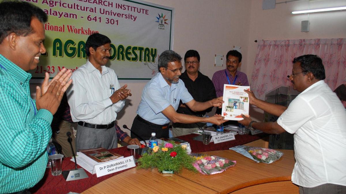 Indian forests low in productivity, says TNAU Vice-Chancellor - The Hindu