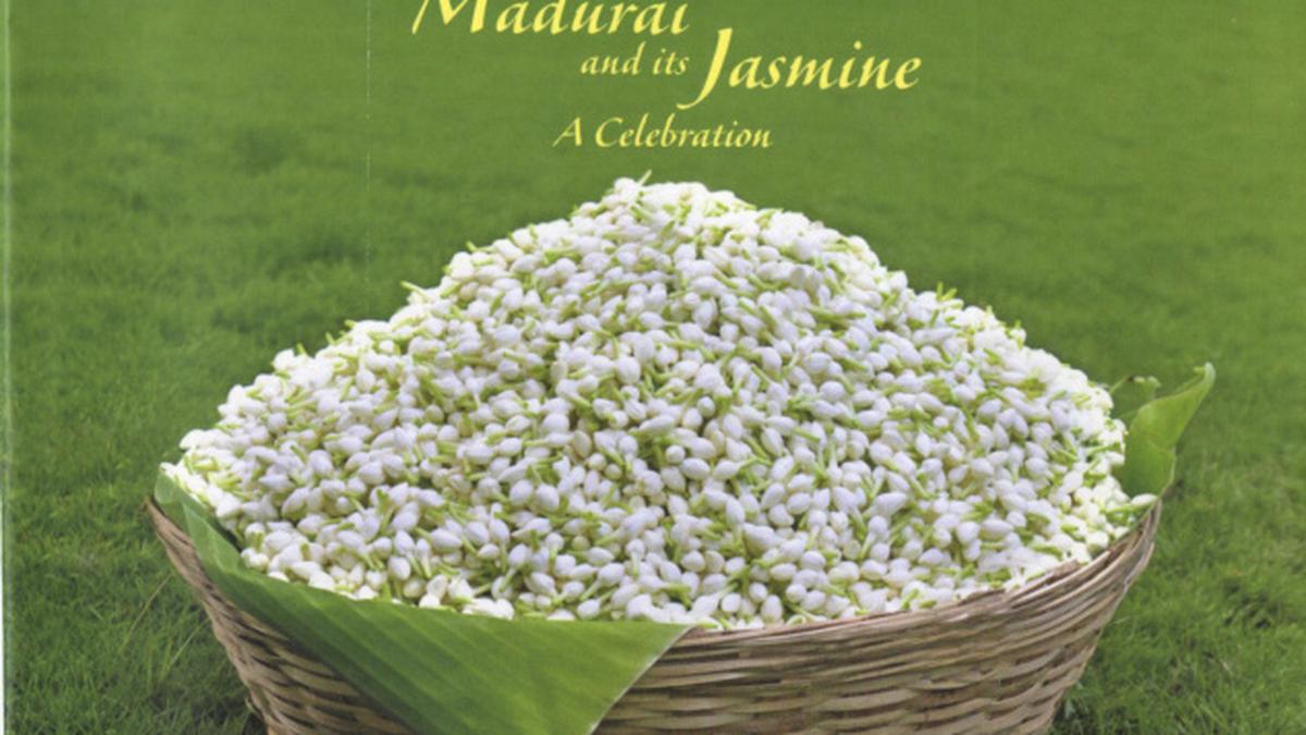 Celebrating the jasmine - The Hindu
