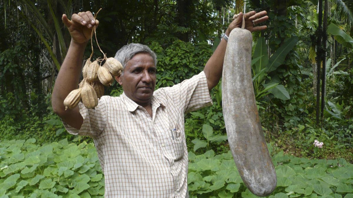 This farmer’s ‘beeja siri’ is 10 years old - The Hindu