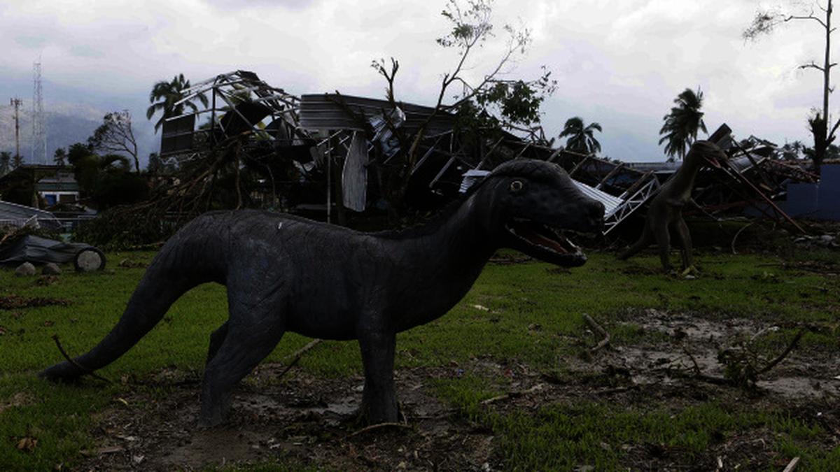 Earliest known dinosaur relative found - The Hindu