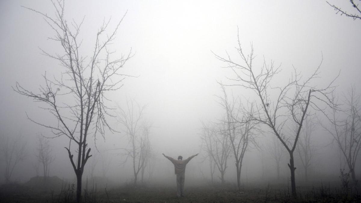 North India shivers; death toll touches 11 - The Hindu