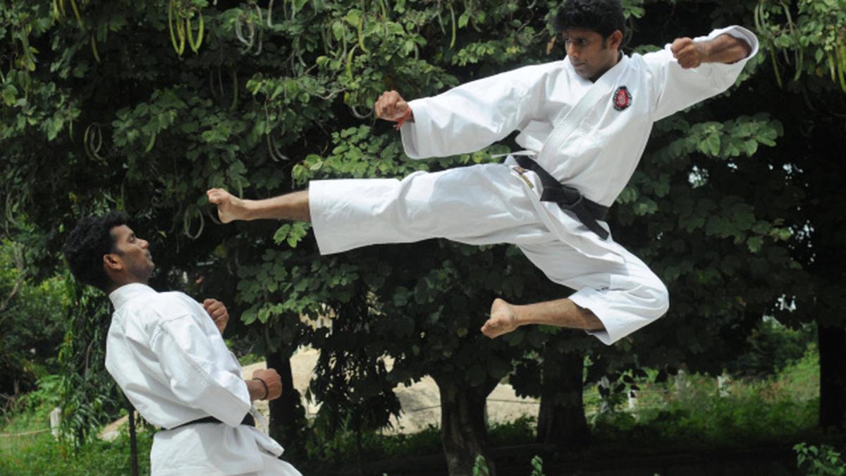 More than just fighting - The Hindu