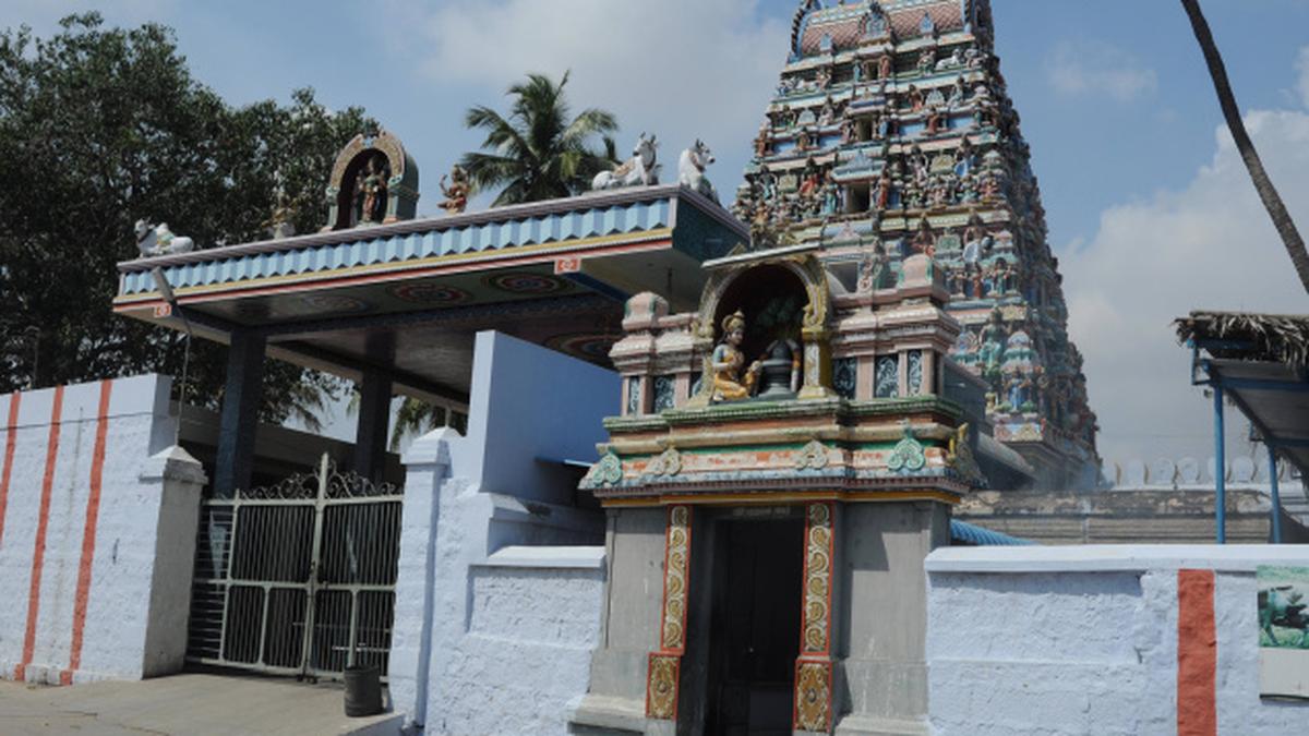 Dotted with sculptural elegance - The Hindu