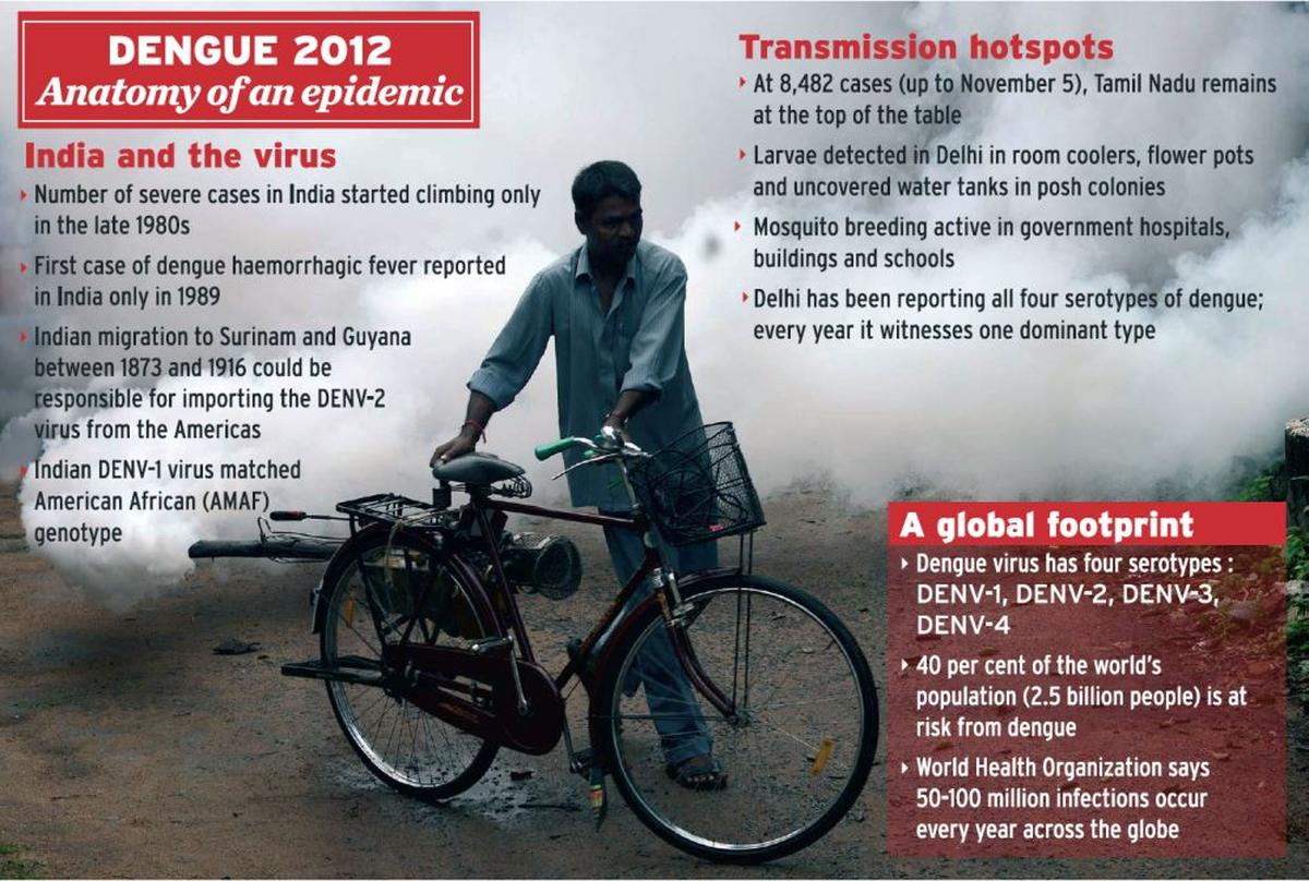 Dengue nation: The rise and spread of a viral challenge - The Hindu