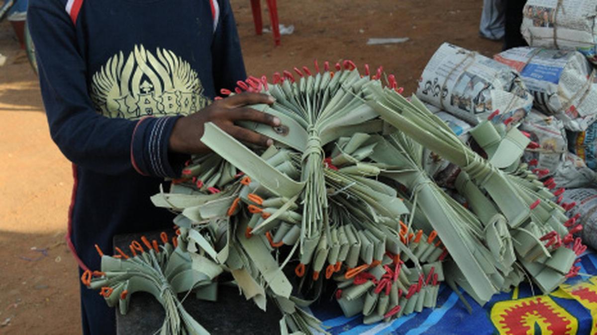 ‘Thataku tapakayalu’ are here again - The Hindu