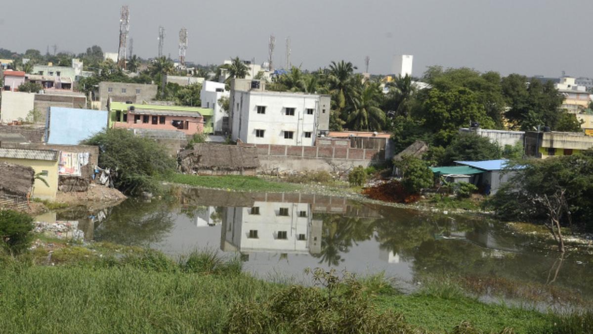 Ramapuram lake turns into swamp - The Hindu
