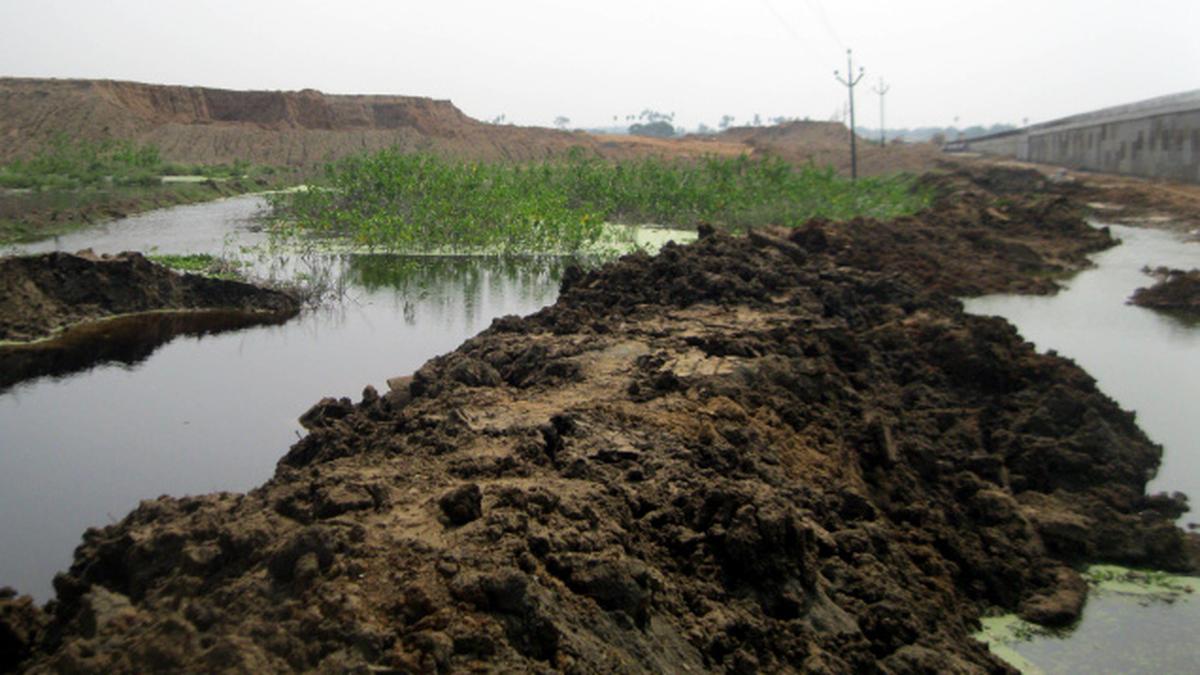 State road project threatens lake in Mudichur - The Hindu