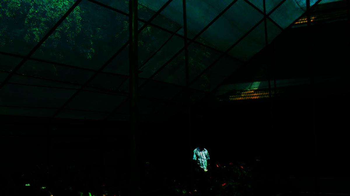 Where the seeds of museum’s greenery are sown - The Hindu