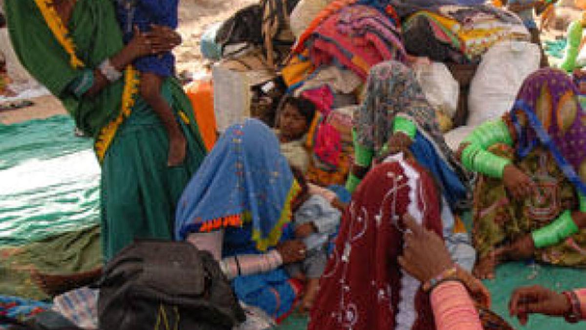 Insecurity pushes more Hindu refugees into Rajasthan - The Hindu