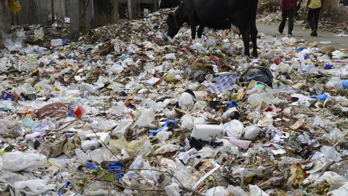 Garbage piling up across the city - The Hindu