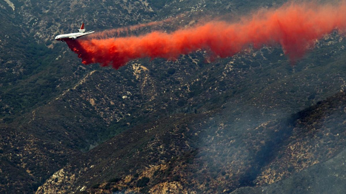 Day in pictures - The Hindu