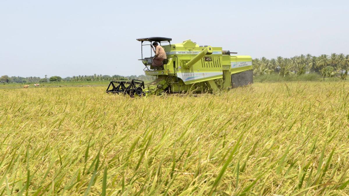 Kuruvai harvest in pumpset irrigated areas begins - The Hindu