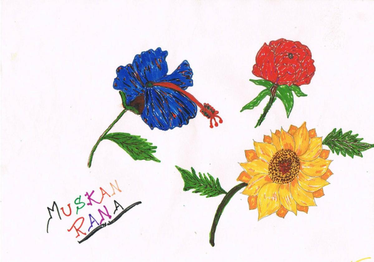 Kaleidoscope Delhi - The Hindu