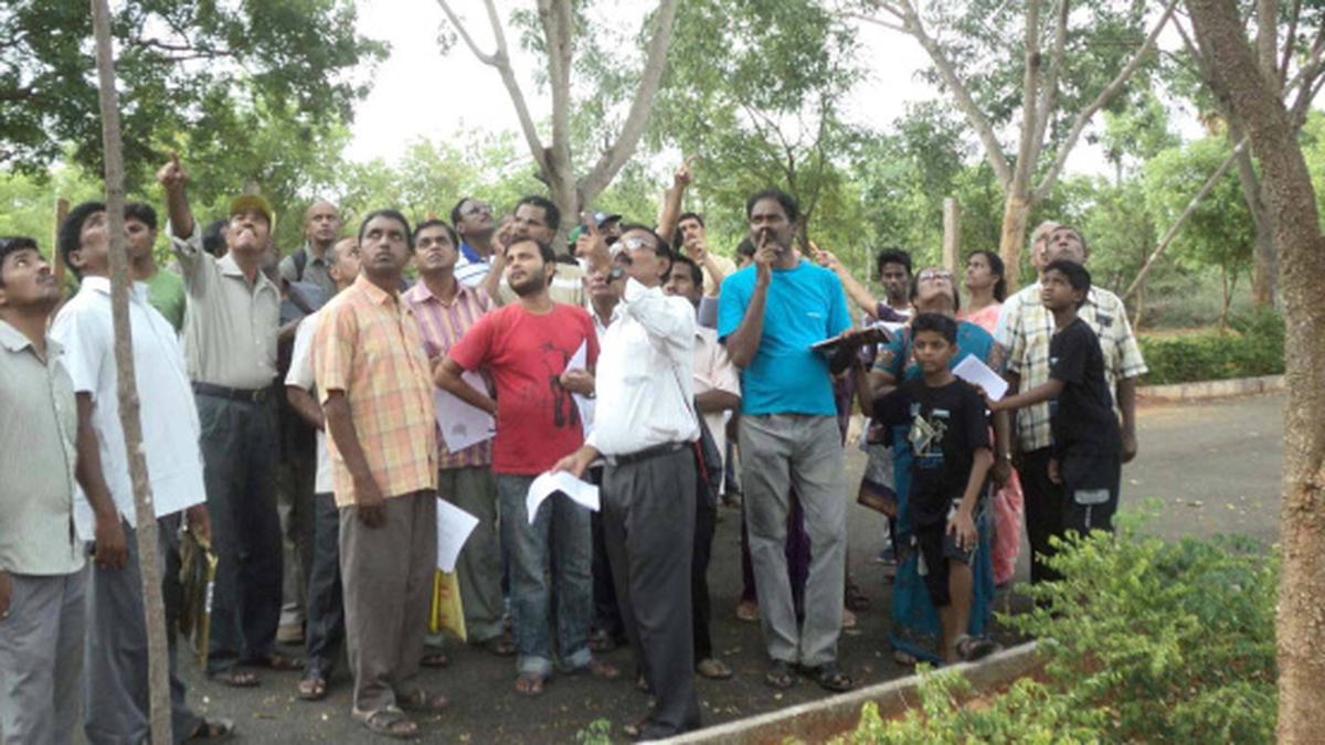 Talking trees, walking enthusiasts - The Hindu