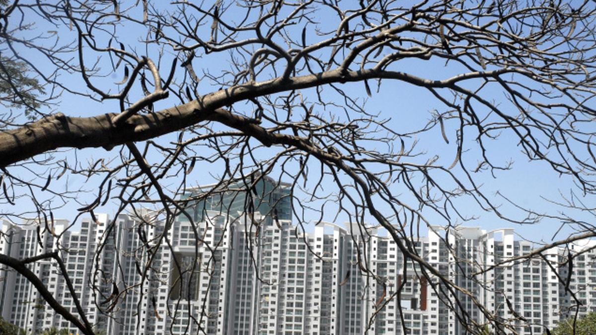 Apartment dwellers dish out the dirt on BBMP - The Hindu