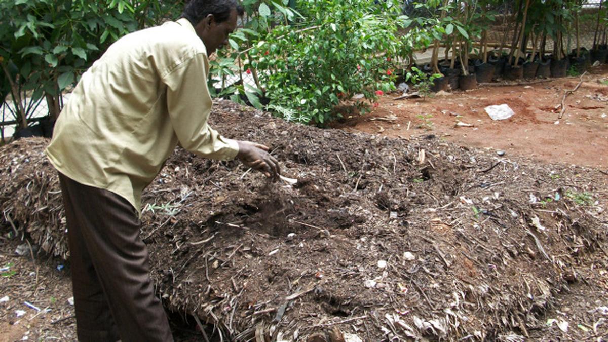 BBMP carrot to farmers to get rid of wet waste - The Hindu