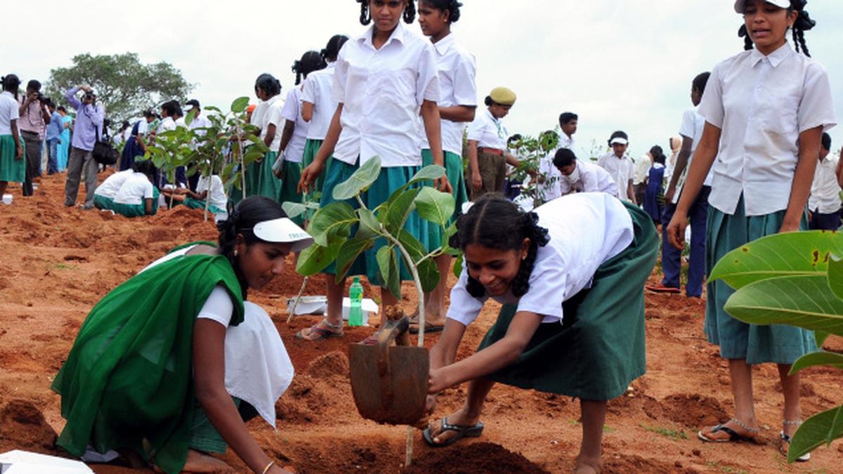 Kiran launches afforestation drive; 20 lakh saplings planted across AP ...