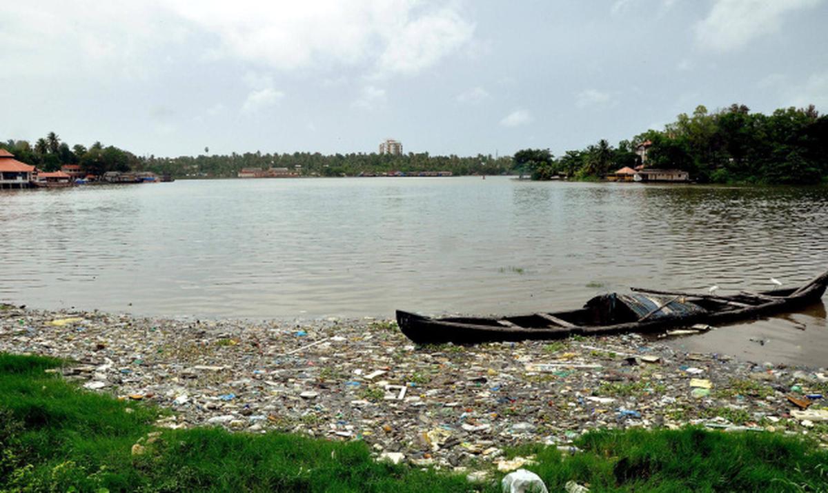 Ashtamudi Lake: a shrinking Ramsar site - The Hindu