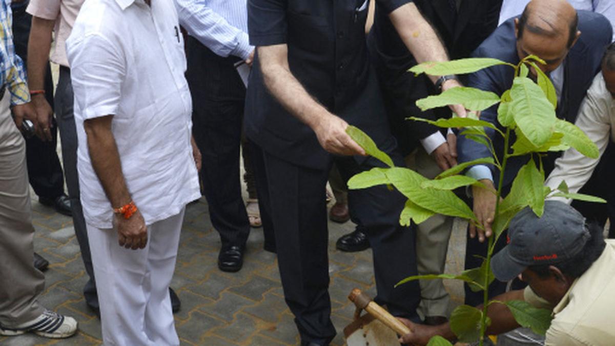 Azad favours regional centres of NIMHANS in States - The Hindu