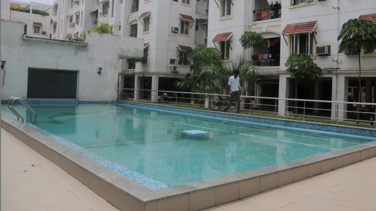 Honey, they shrunk the swimming pool - The Hindu