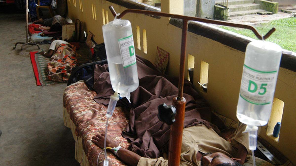 How sickle cell gene protects against malaria - The Hindu