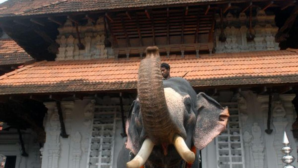 ‘Anayoottu’ festival - The Hindu