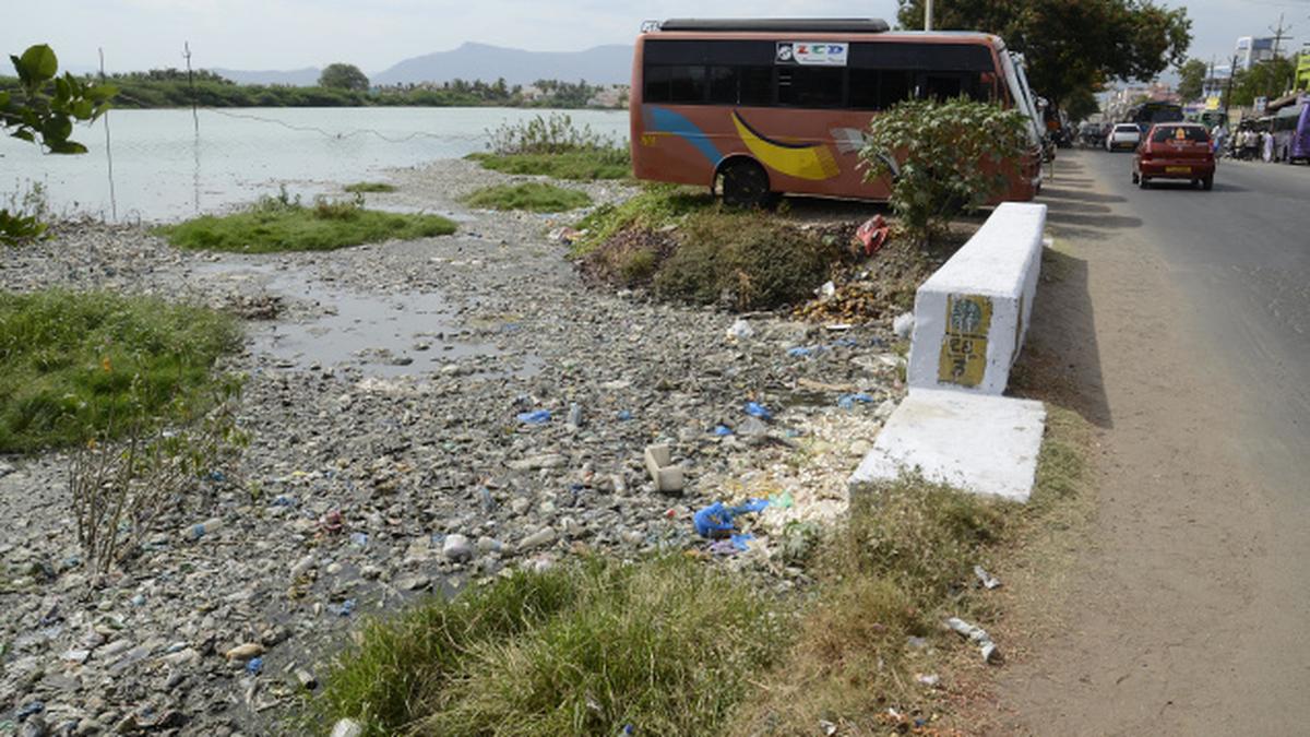Lake in centre of town turns cesspool - The Hindu