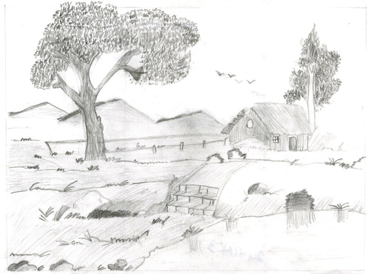 Drawings from North Canra - The Hindu