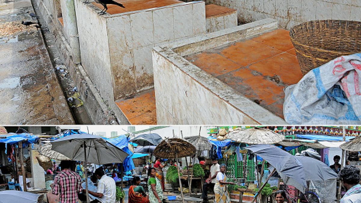 Fish market in Masula stands testimony to official apathy - The Hindu