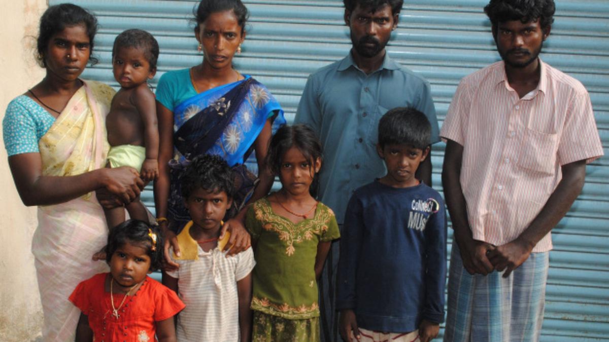 Two Dalit families freed from bonded labour - The Hindu