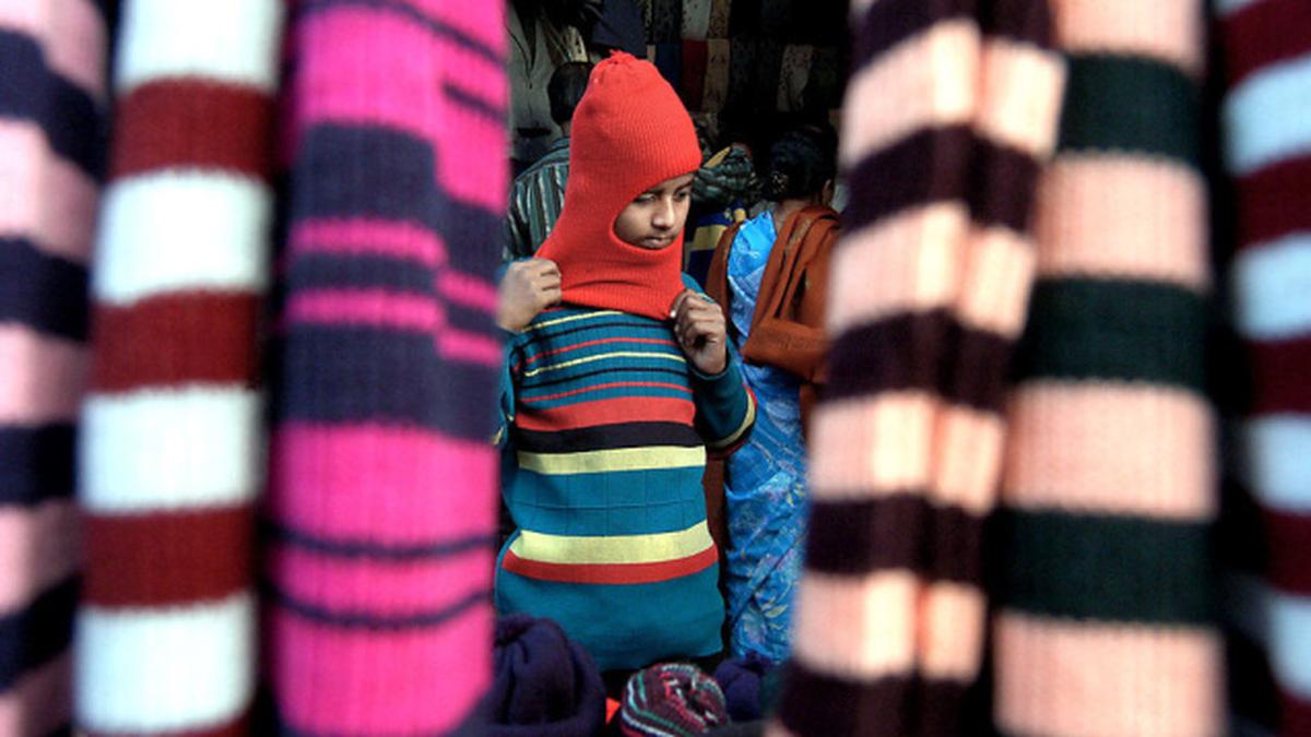 Warming up to Angora - The Hindu