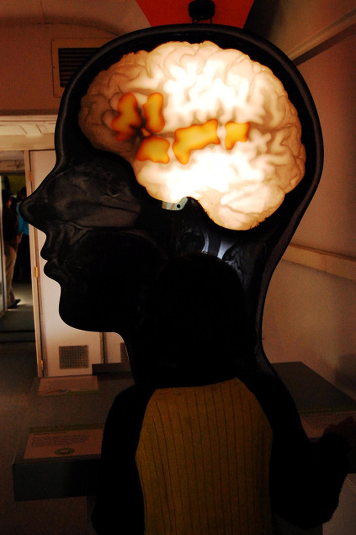 Who am I? my brain or my mind? - The Hindu