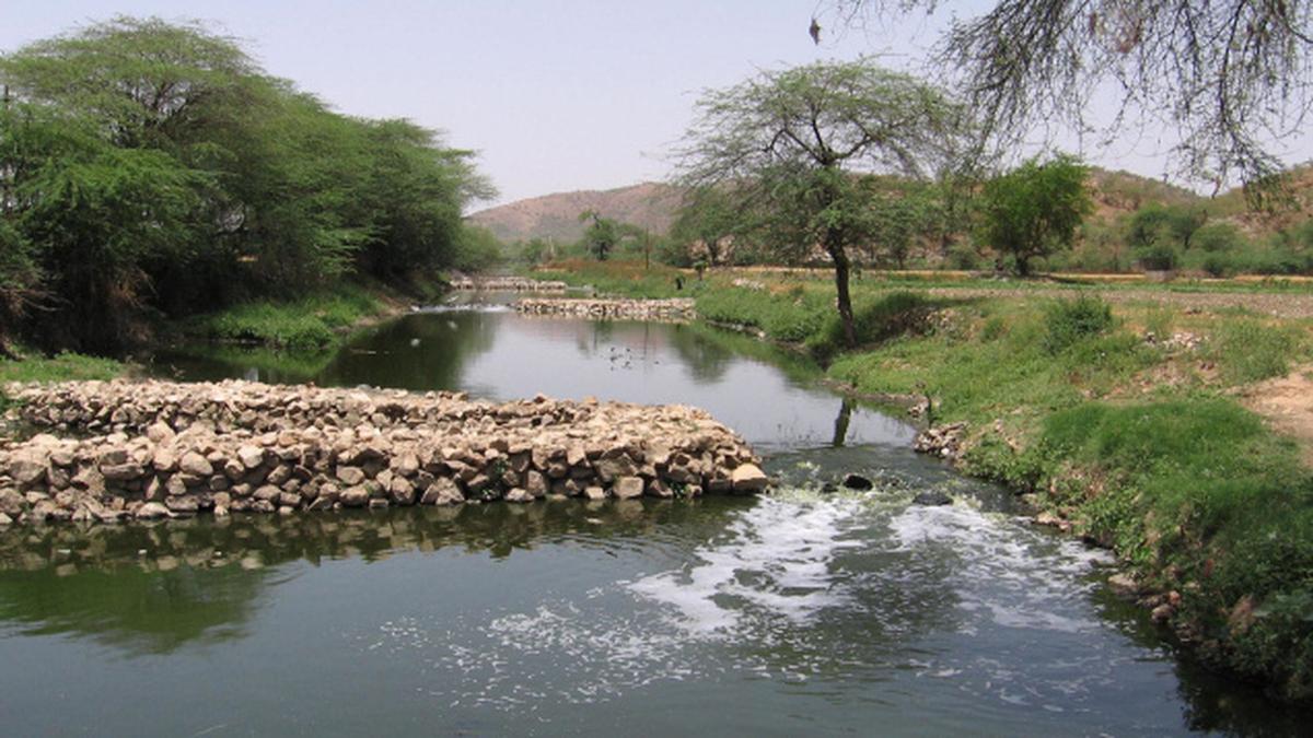 A lake rejuvenated - The Hindu