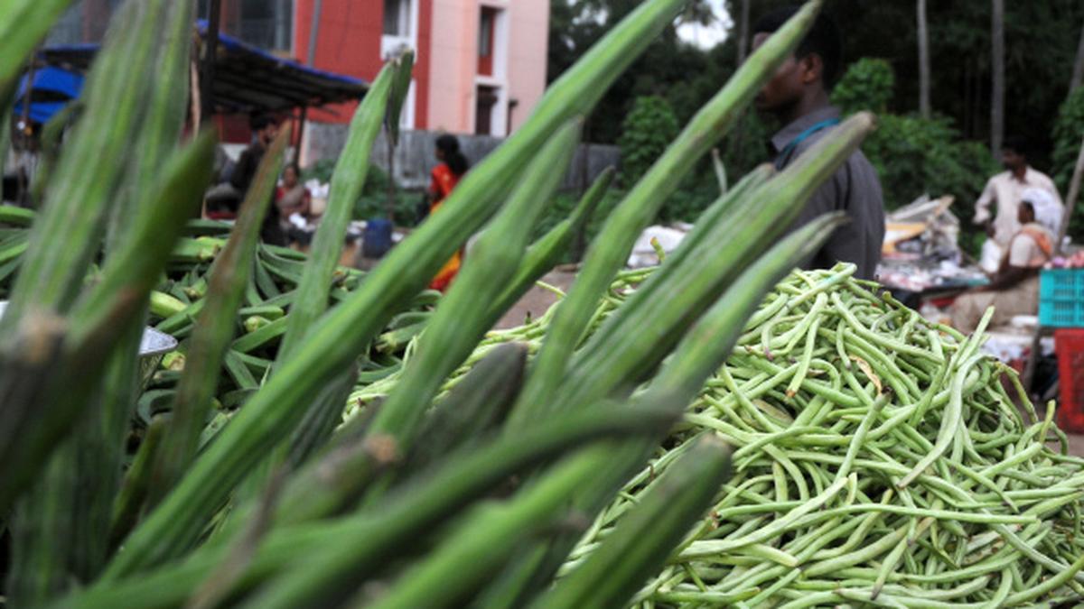 Vegetable prices ruling firm - The Hindu