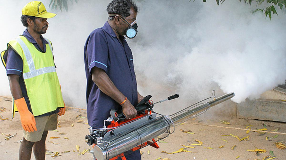 Two-month intensive drive to prevent dengue - The Hindu