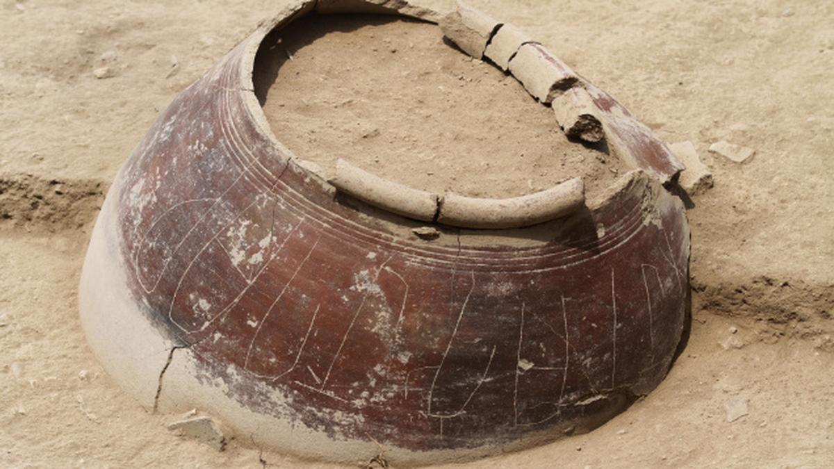 Kodumanal excavation yields a bonanza again - The Hindu