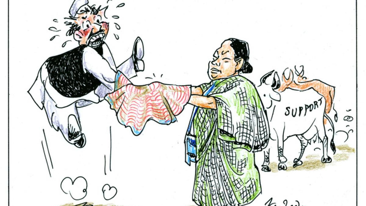 Cartoonscape, June 13, 2012 - The Hindu