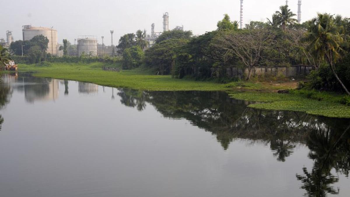 Pollution monitoring stations along the Periyar planned - The Hindu